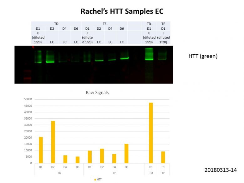 Visualisation of Purified HTT Proteins – openlabnotebooks.org