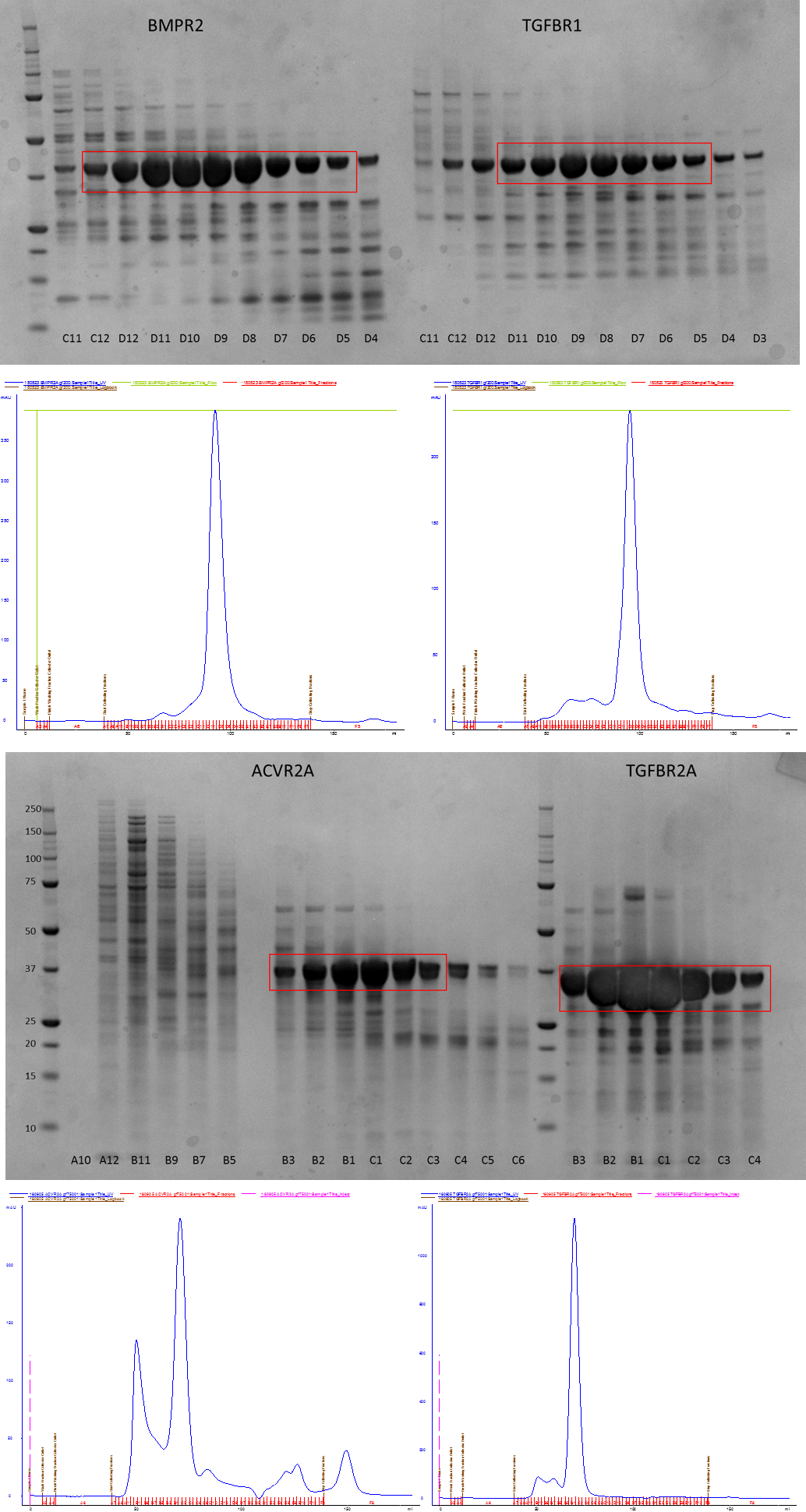 Protein purification and Tm shift experiments. – openlabnotebooks.org