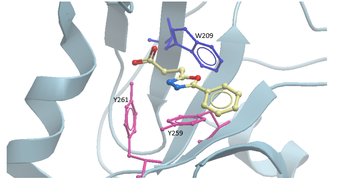Developing a Tryptophan Fluorescence Assay for Screening Ligands ...