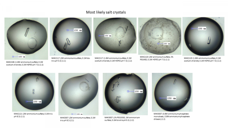 Lots of protein now! A massive composite screen and a few crystal hits ...