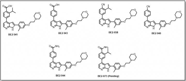CaMKK2 Inhibitor Series – openlabnotebooks.org