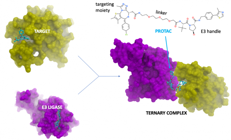 Structure-Based PROTAC Design: Project Overview – openlabnotebooks.org