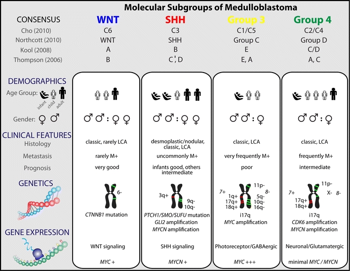 Defining Epigenetic Drivers of Medulloblastoma – 01 – Introduction – openlabnotebooks.org