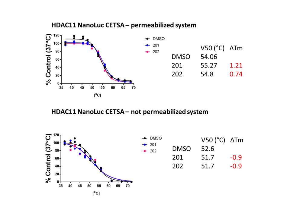 HDAC11 target engagement assay development in cells – CETSA ...