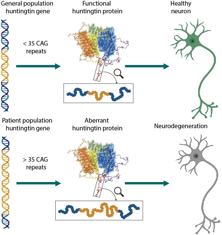 Project Overview – openlabnotebooks.org
