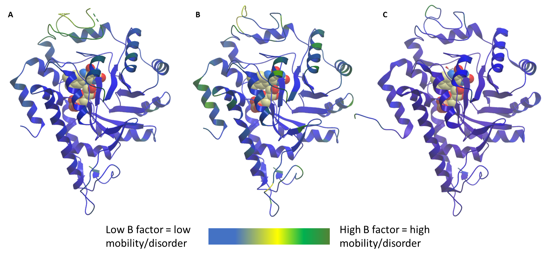Investigation of HAO1 co-factor loading effects on crystal form and ...