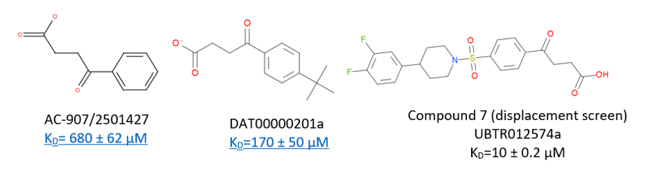 Testing USP5 ZnF-UBD analogues with a Displacement Assay and SPR ...