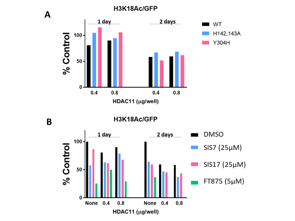 HDAC11 cellular assay validation with catalytic mutants and inhibitors ...