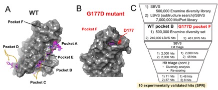 Development of small-molecule modulators of the transcription factor ...