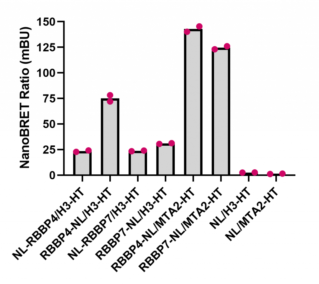 MTA2 and RBBP4/7 protein-protein interaction assay – NanoBRET ...