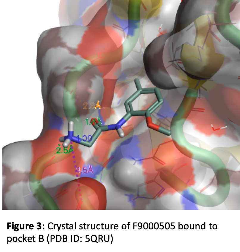 Brachyury (TBXT) ligands for chordoma: 1. Fragment optimization ...