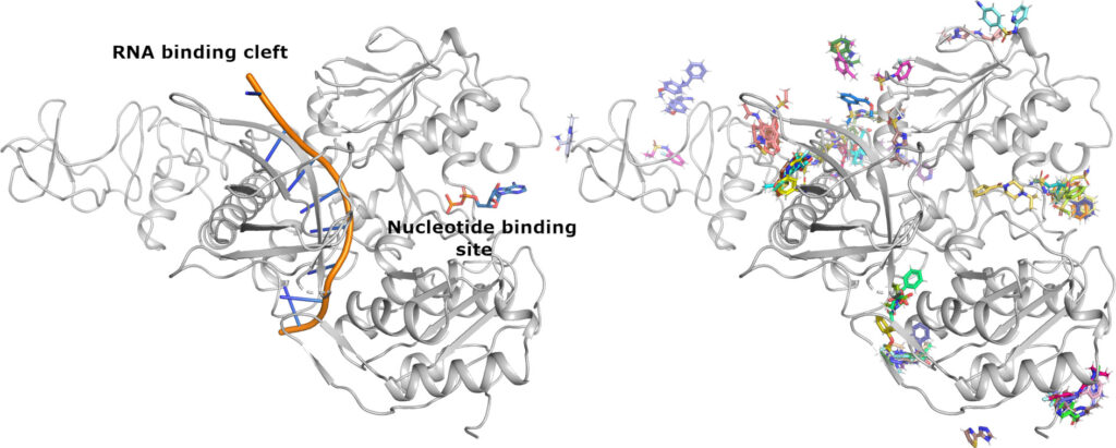 Structure and X-ray Fragment screening of SARS-Cov-2 helicase (Nsp13 ...