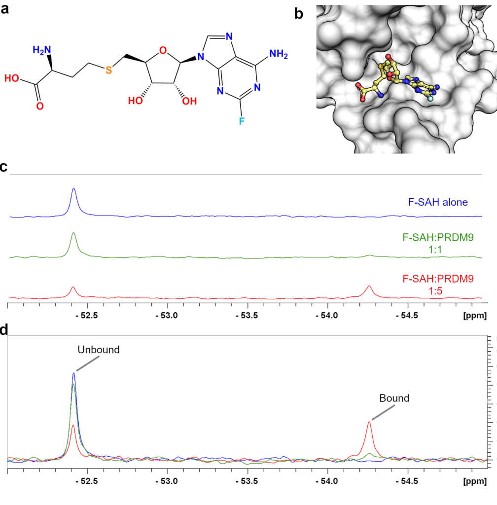 Interrogating PR/SET domains for the ability to bind SAH ...