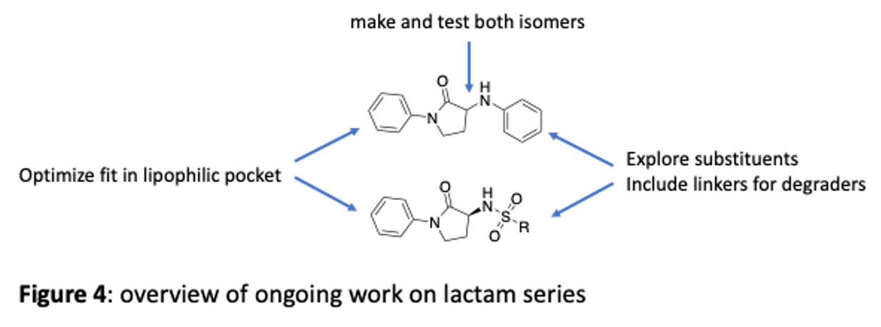 TBXT ligands for Chordoma: lactams for pocket F – openlabnotebooks.org