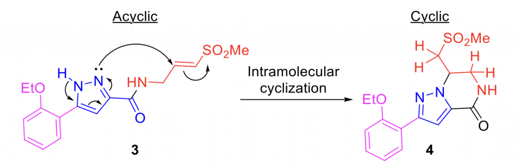Efficient Synthesis of Acyclic and Cyclic Pyrazoles for Evaluation as ...