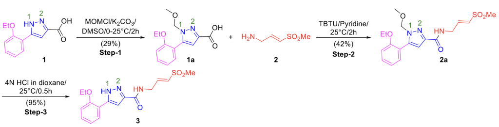 Efficient Synthesis of Acyclic and Cyclic Pyrazoles for Evaluation as ...